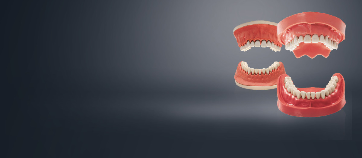 KaVo tooth models for dental surgery and implantology | KaVo Dental